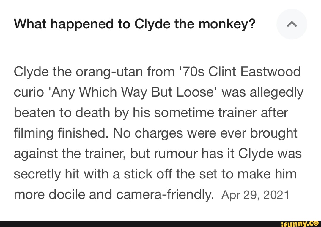 What happened to Clyde the monkey? Clyde the orang-utan from Clint ...