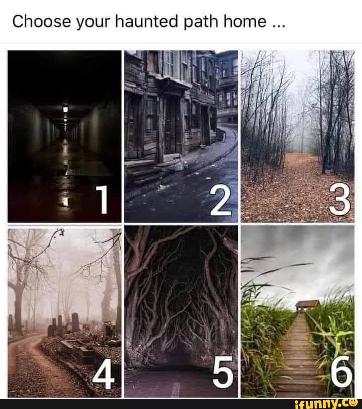 Hauntedforest memes. Best Collection of funny Hauntedforest pictures on ...