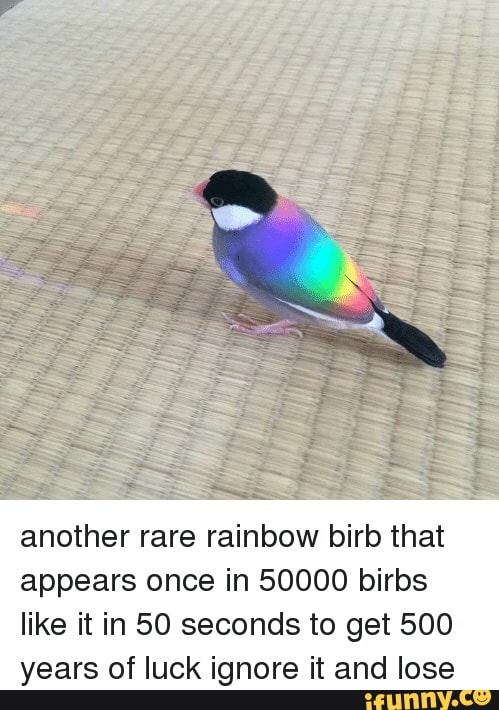 Another rare rainbow birb that appears once in 50000 birbs like it in ...