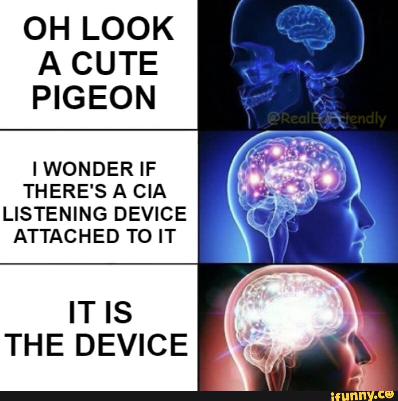 OH LOOK A CUTE PIGEON I WONDER IF THERE'S A CIA LISTENING DEVICE ...