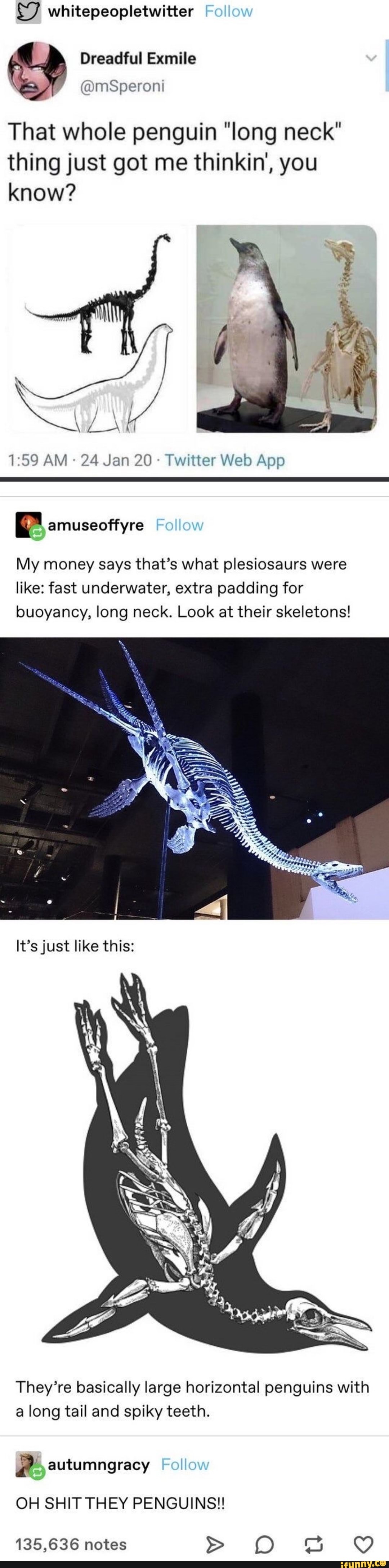 Long Neck Meme