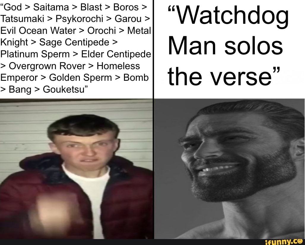 "God > Saitama > Blast > Boros > Tatsumaki > Psykorochi > Garou > Evil ...