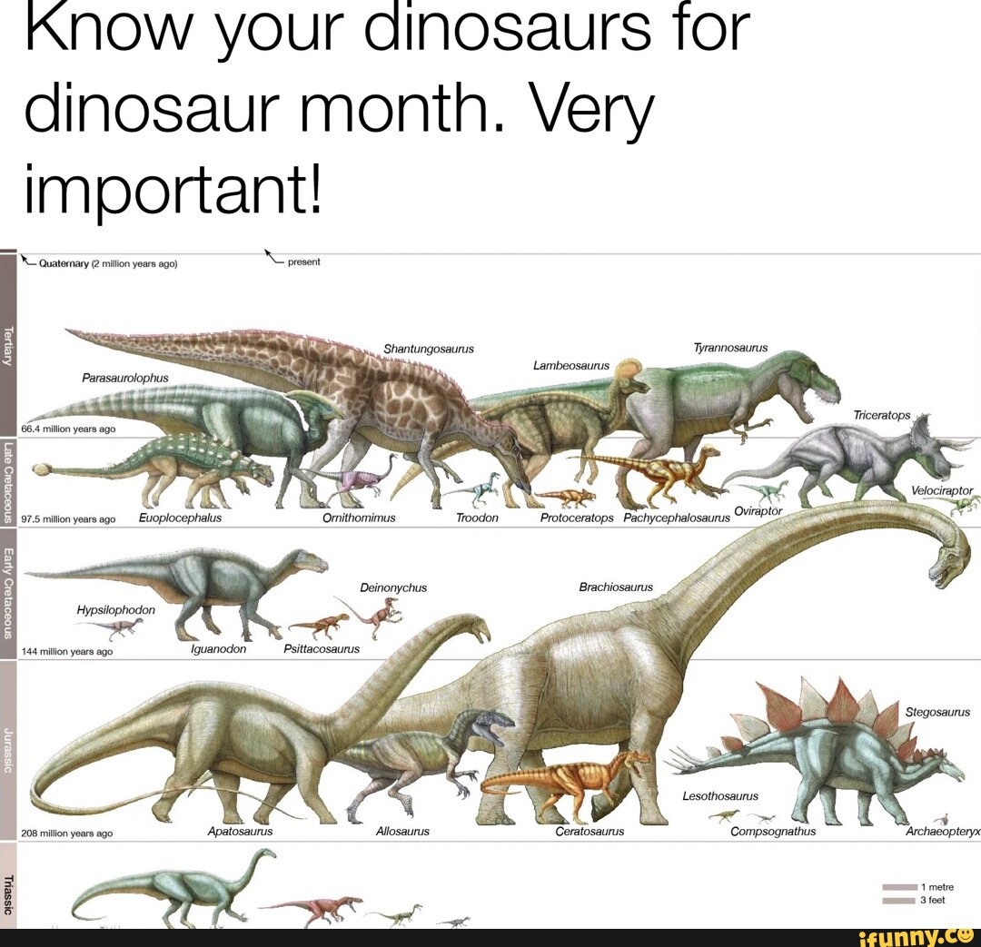 Know your dinosaurs tor dinosaur month. Very important! present - iFunny