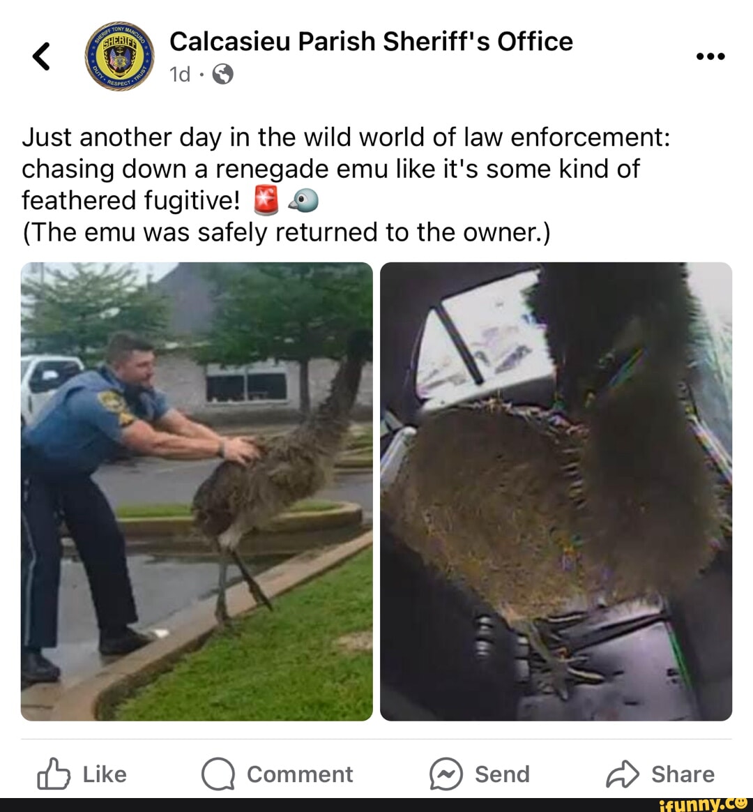 Renegade memes. Best Collection of funny Renegade pictures on iFunny