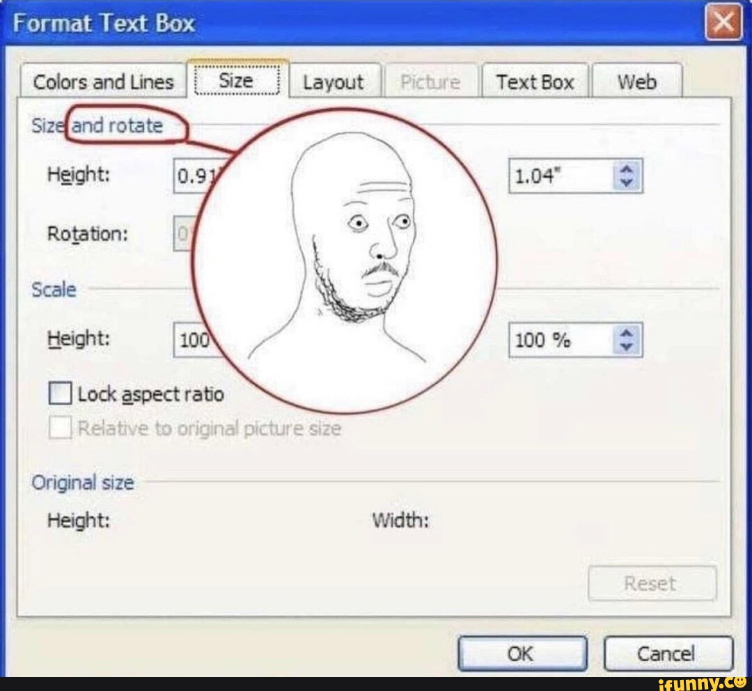 Format Text Box I Colors and Lines Height: Rotation: Scale Height: I100 ...