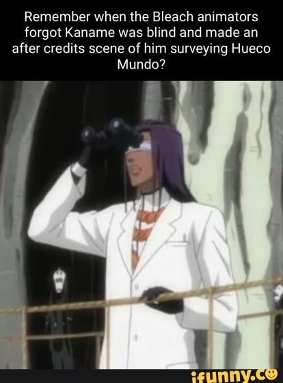 Remember when the Bleach animators forgot Kaname was blind and made an ...