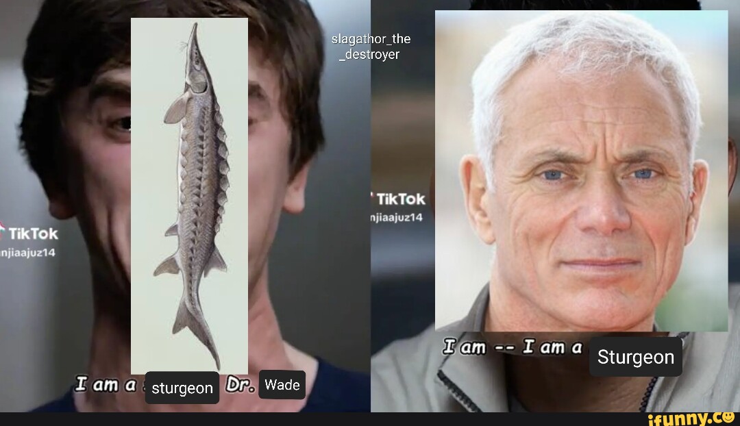Slagathor_the _destroyer TikTok njiaajuz14 TikTok Tam fama Sturgeon ...