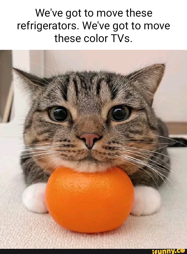 We've got to move these refrigerators. We've got to move these color ...