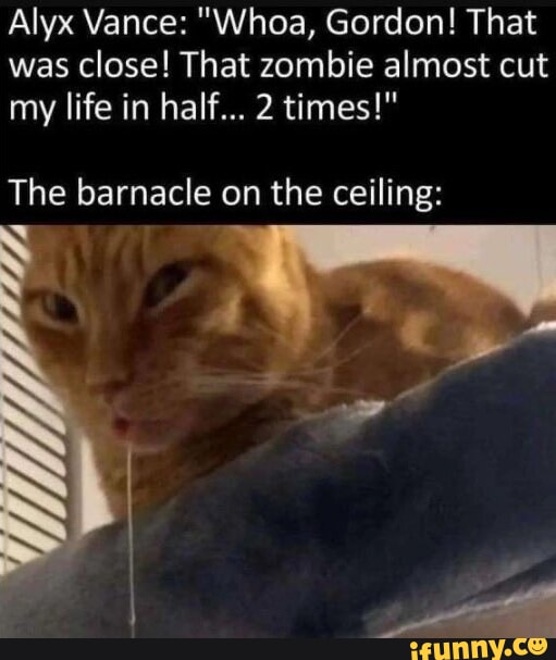 Barnacle memes. Best Collection of funny Barnacle pictures on iFunny