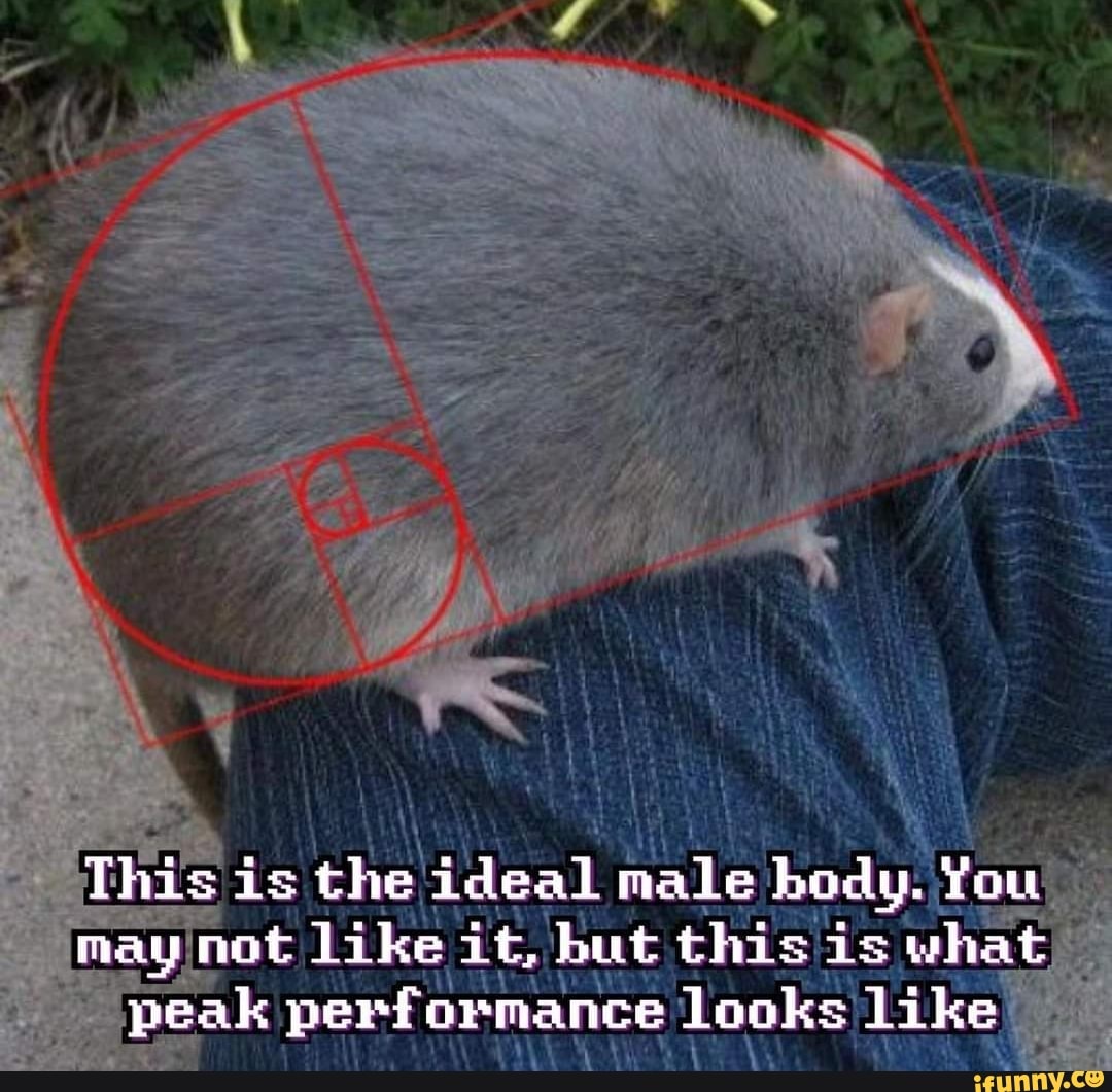 This is the ideal] male body. You may not like it, but this is what ...