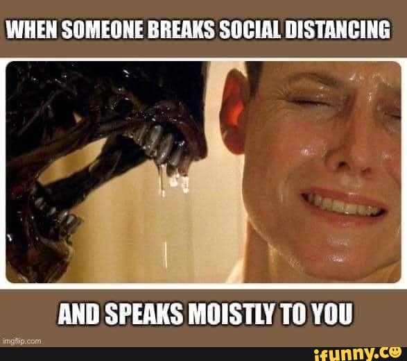 Moistly memes. Best Collection of funny Moistly pictures on iFunny