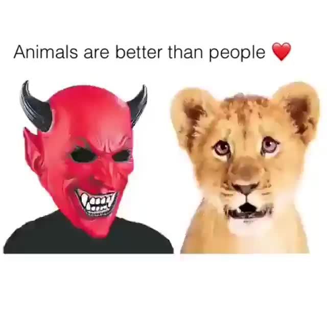 Animals are better than people Í - iFunny :)