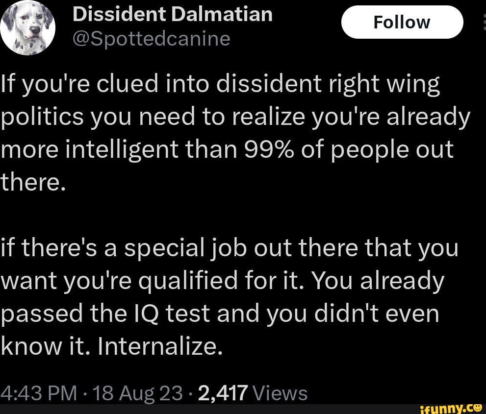 Dalmatian memes. Best Collection of funny Dalmatian pictures on iFunny