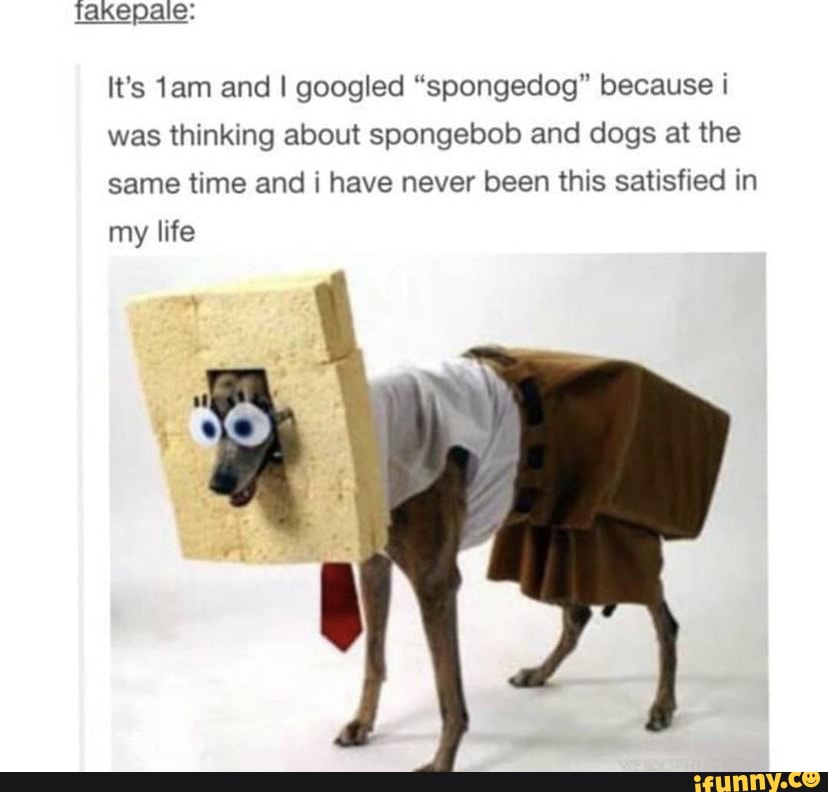 Spongedog memes. Best Collection of funny Spongedog pictures on iFunny