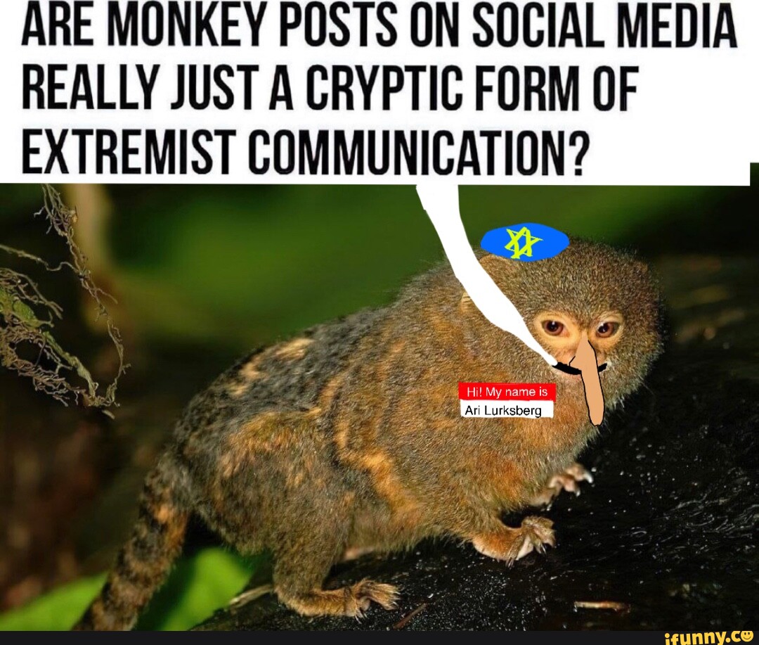 ARE MONKEY POSTS ON SOCIAL MEDIA REALLY JUST A CRYPTIC FORM OF ...