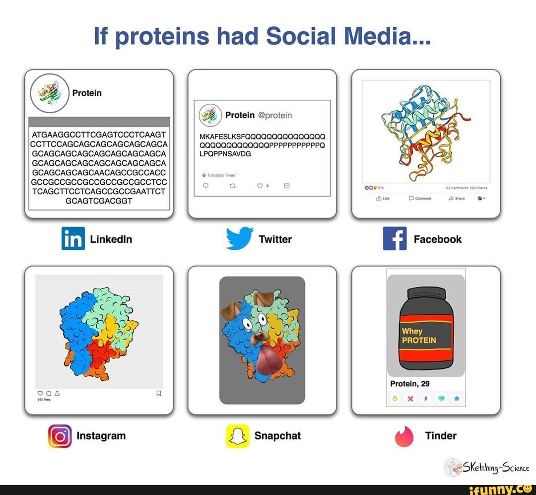 If proteins had Social Media... ATGAAGGCCTTCGAGTCCCTCAAGT ...