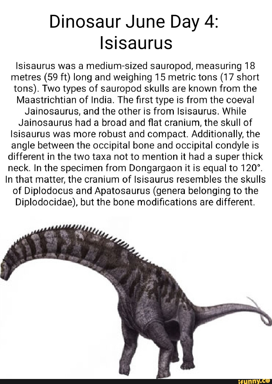 Dinosaur June Day 4: Isisaurus was a medium-sized sauropod, measuring ...
