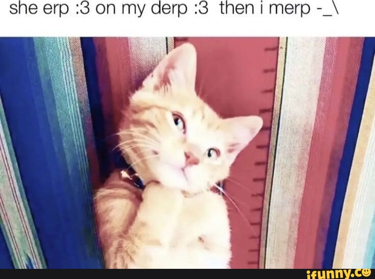 Merp memes. Best Collection of funny Merp pictures on iFunny