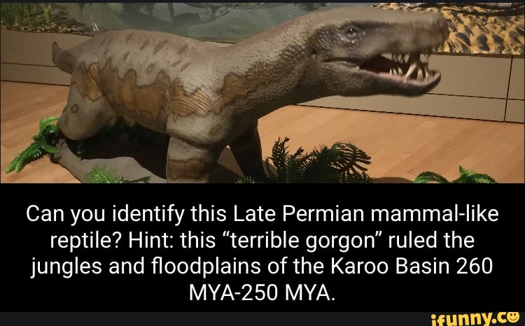 Gorgon memes. Best Collection of funny Gorgon pictures on iFunny