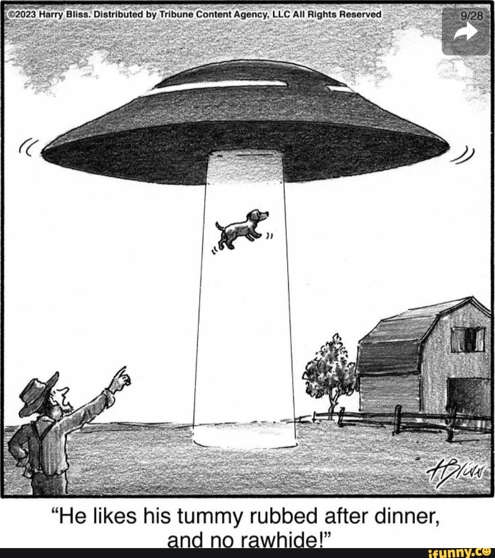 Rawhide memes. Best Collection of funny Rawhide pictures on iFunny