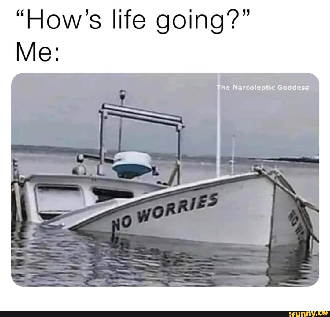 "How's life going?" Me: es - iFunny