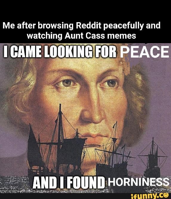 Me after browsing Reddit peacefully and watching Aunt Cass memes CAME ...