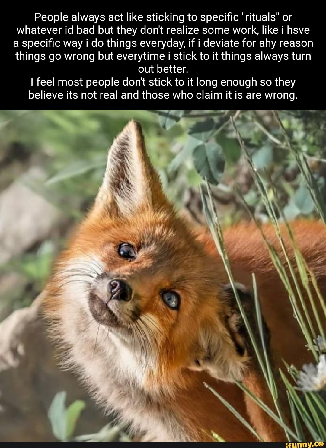 Rituals memes. Best Collection of funny Rituals pictures on iFunny