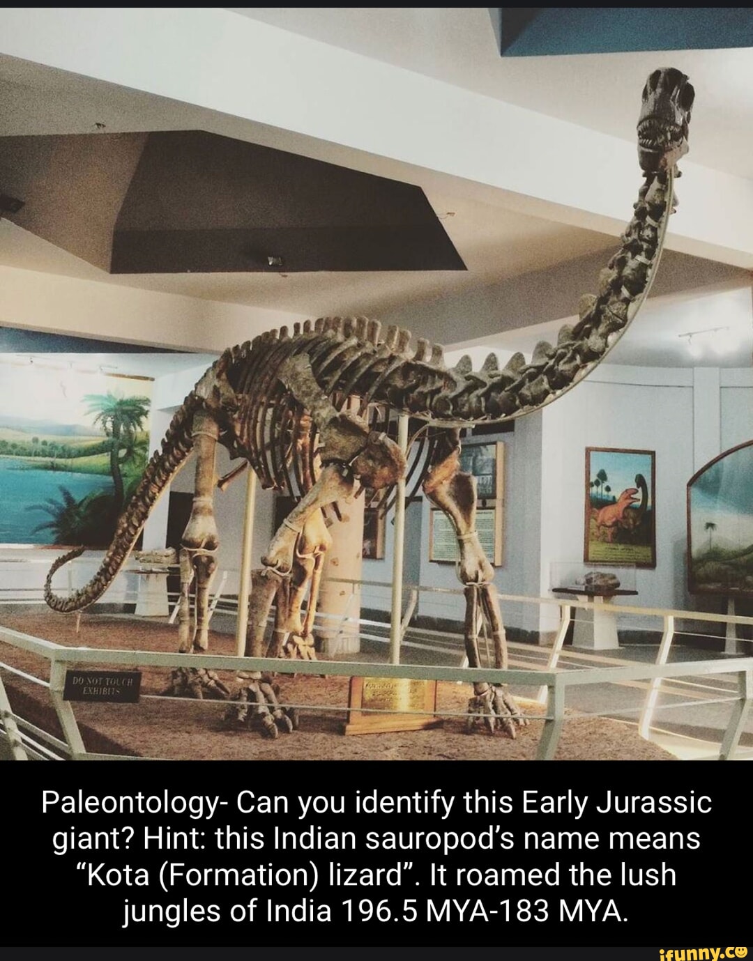 Paleontology- Can you identify this Early Jurassic giant? Hint: this ...