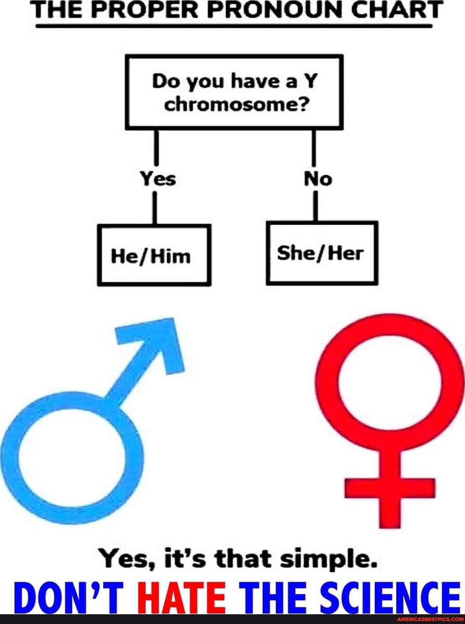 THE PROPER PRONOUN CHART Do you have a Y chromosome? Yes No He/ She/ J ...