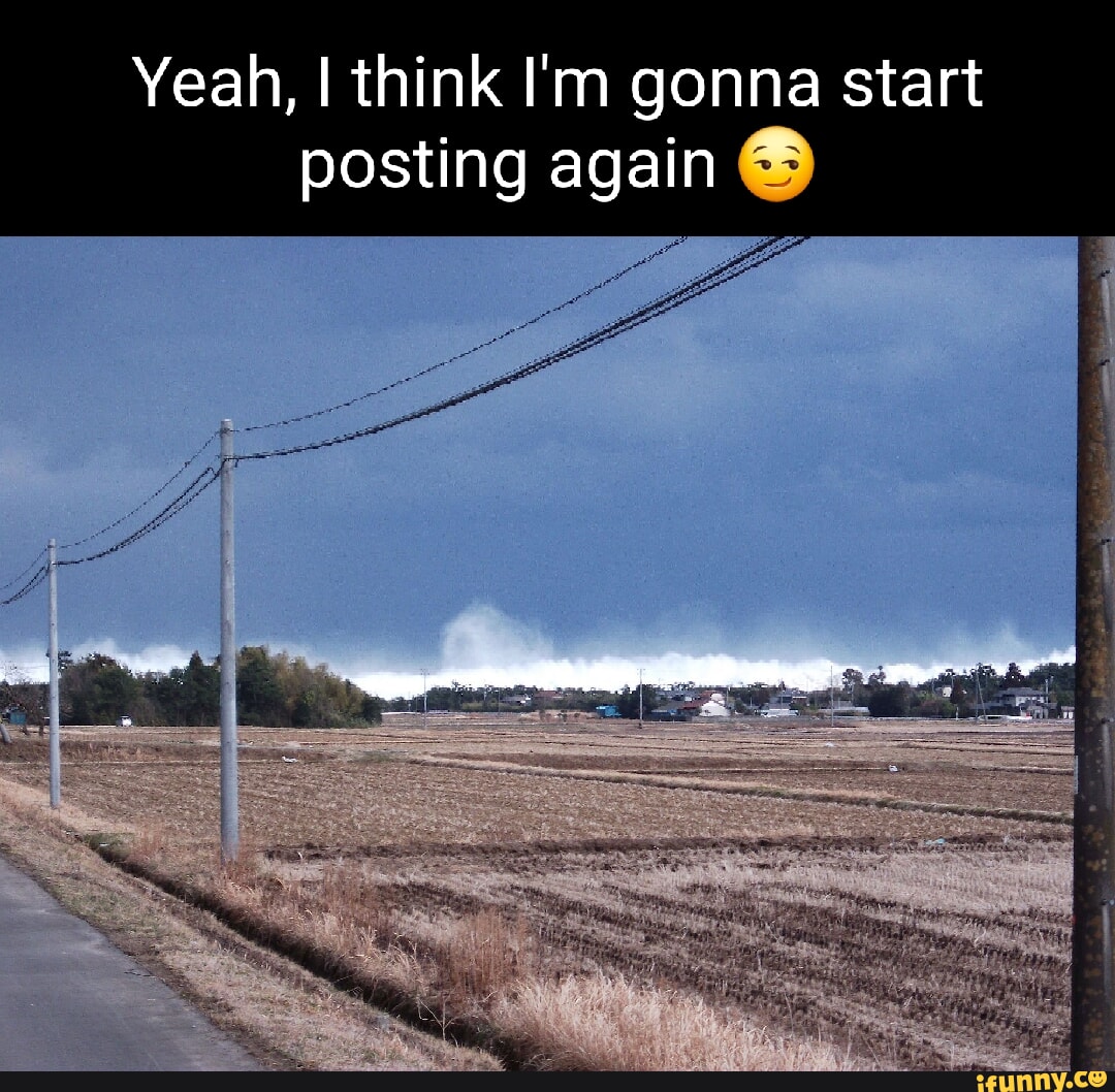 Tsunami memes. Best Collection of funny Tsunami pictures on iFunny
