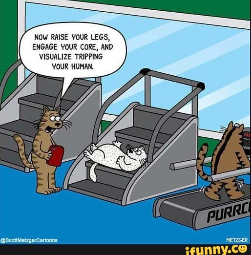 Engage memes. Best Collection of funny Engage pictures on iFunny