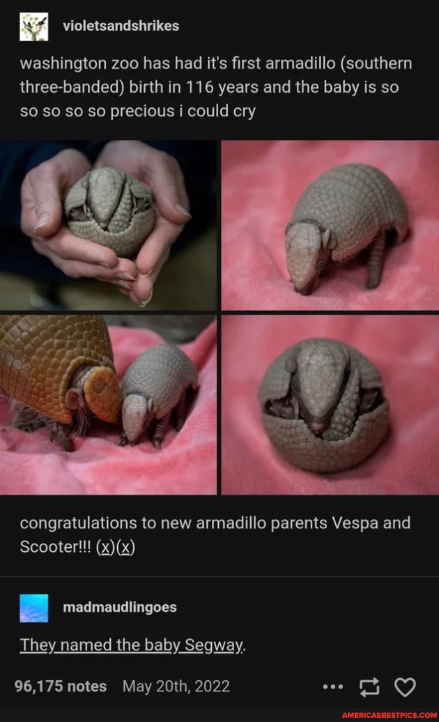 The most popular Baby memes on America’s best pics and videos