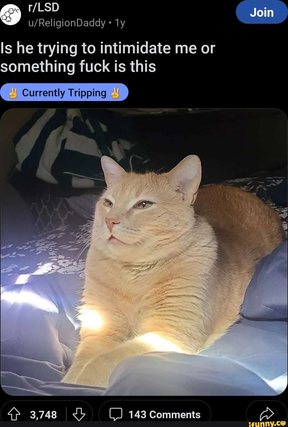 Tripping memes. Best Collection of funny Tripping pictures on iFunny