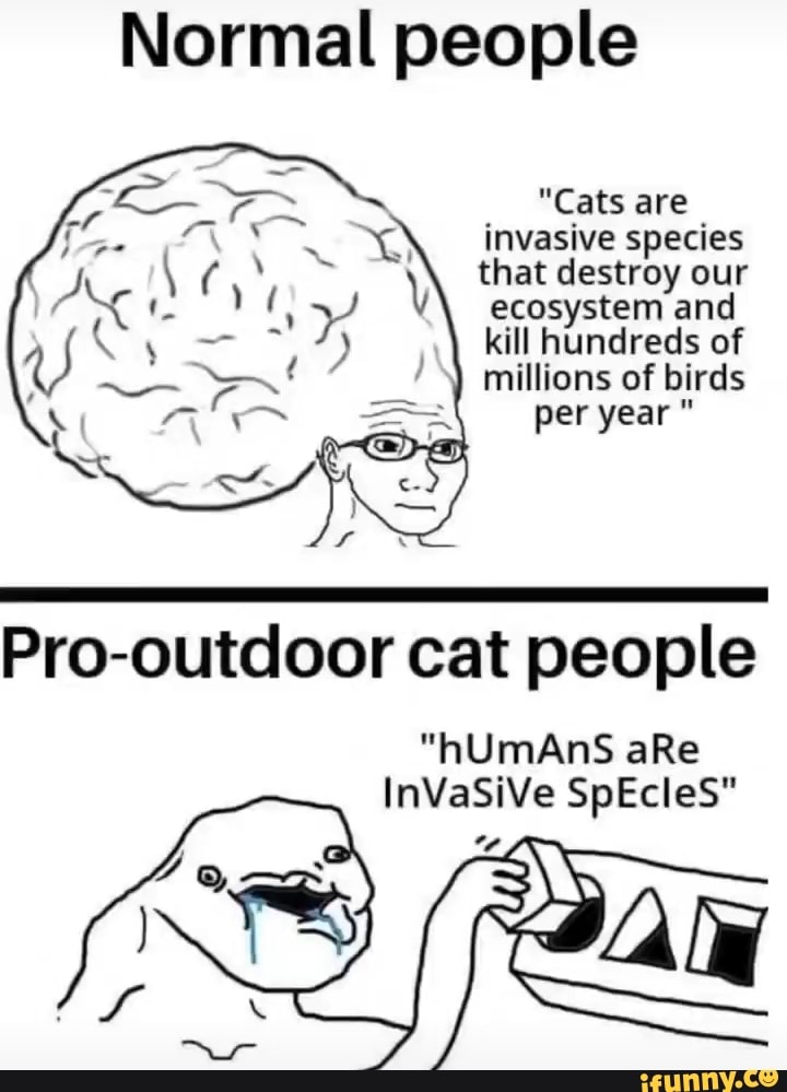 Normal people "Cats are invasive species that destroy our ecosystem and ...