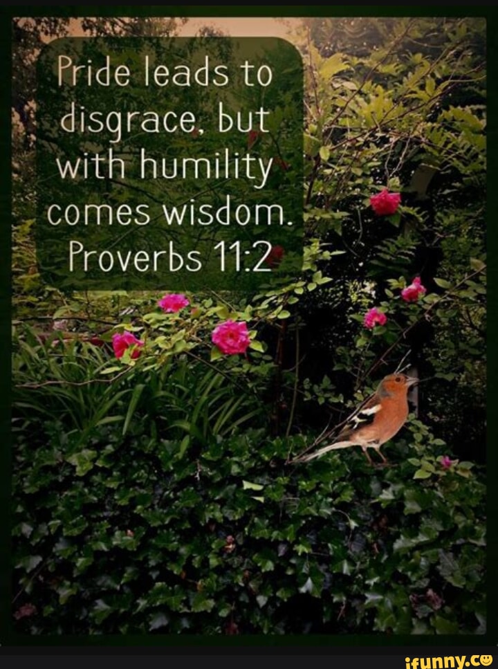 Seg memes. Best Collection of funny Seg pictures on iFunny