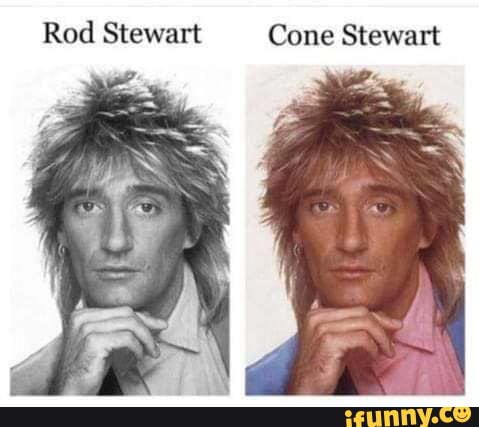 Rod_stewart memes. Best Collection of funny Rod_stewart pictures on iFunny