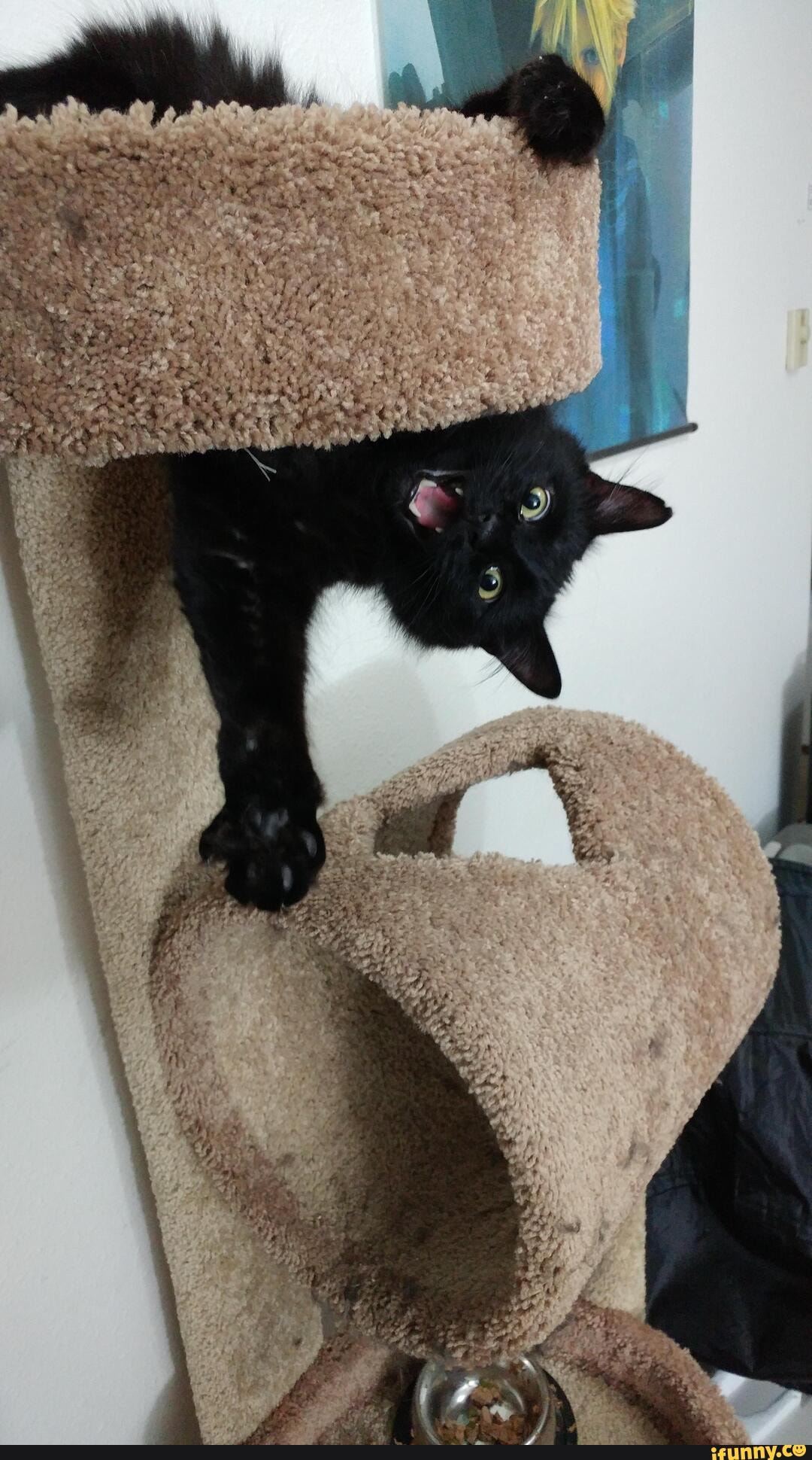 Bwaaaa memes. Best Collection of funny Bwaaaa pictures on iFunny