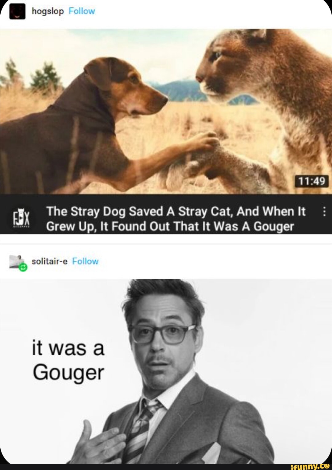 Gouger memes. Best Collection of funny Gouger pictures on iFunny