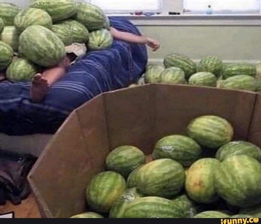 Cursed_blanket memes. Best Collection of funny Cursed_blanket pictures ...