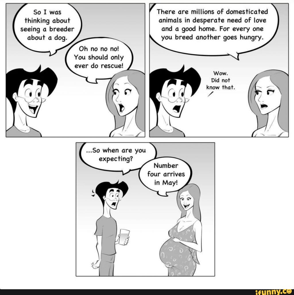 So I was There are millions of domesticated thinking about animals in ...
