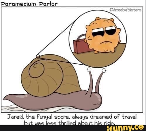 Paramecium memes. Best Collection of funny Paramecium pictures on iFunny