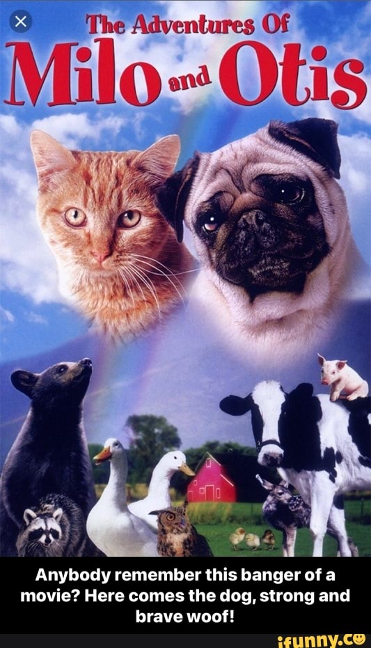 Milo And Otis Movie