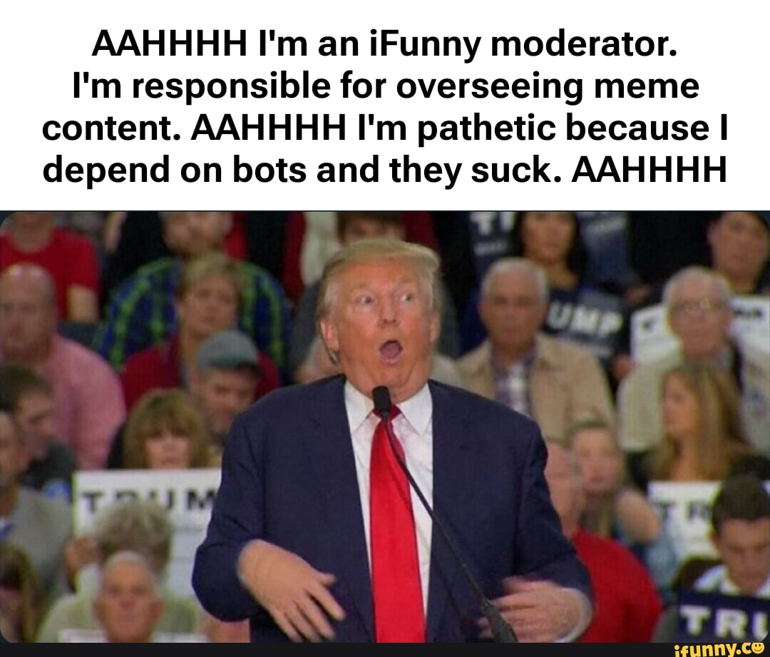 An mocerator I'm responsible for overseeing meme content. AAHHHH I'm ...