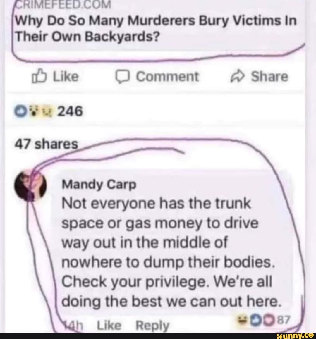 POV: you passed out on the floor of a house party and the hosts cat ...