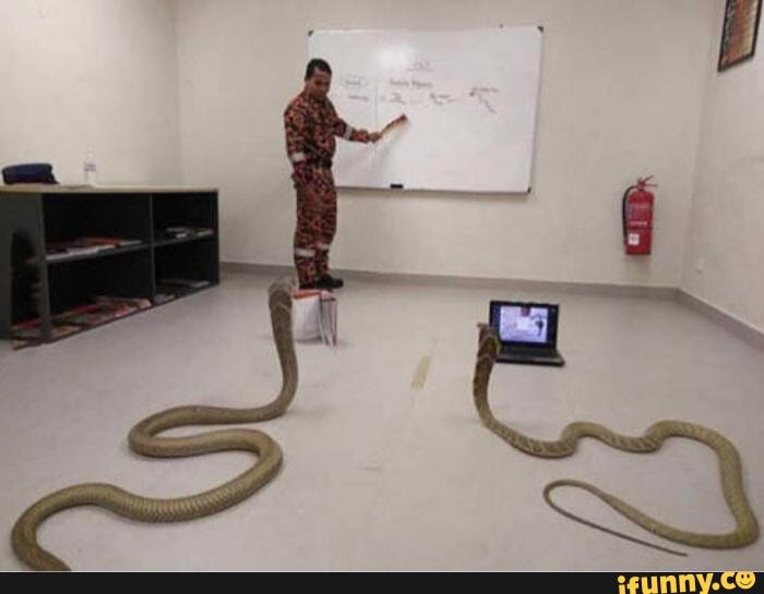 Cursed_classroom memes. Best Collection of funny Cursed_classroom ...