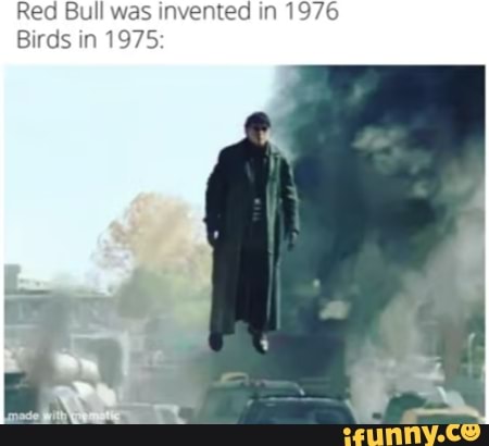 Red Bull was invented in 1976 Birds in 1975: - iFunny