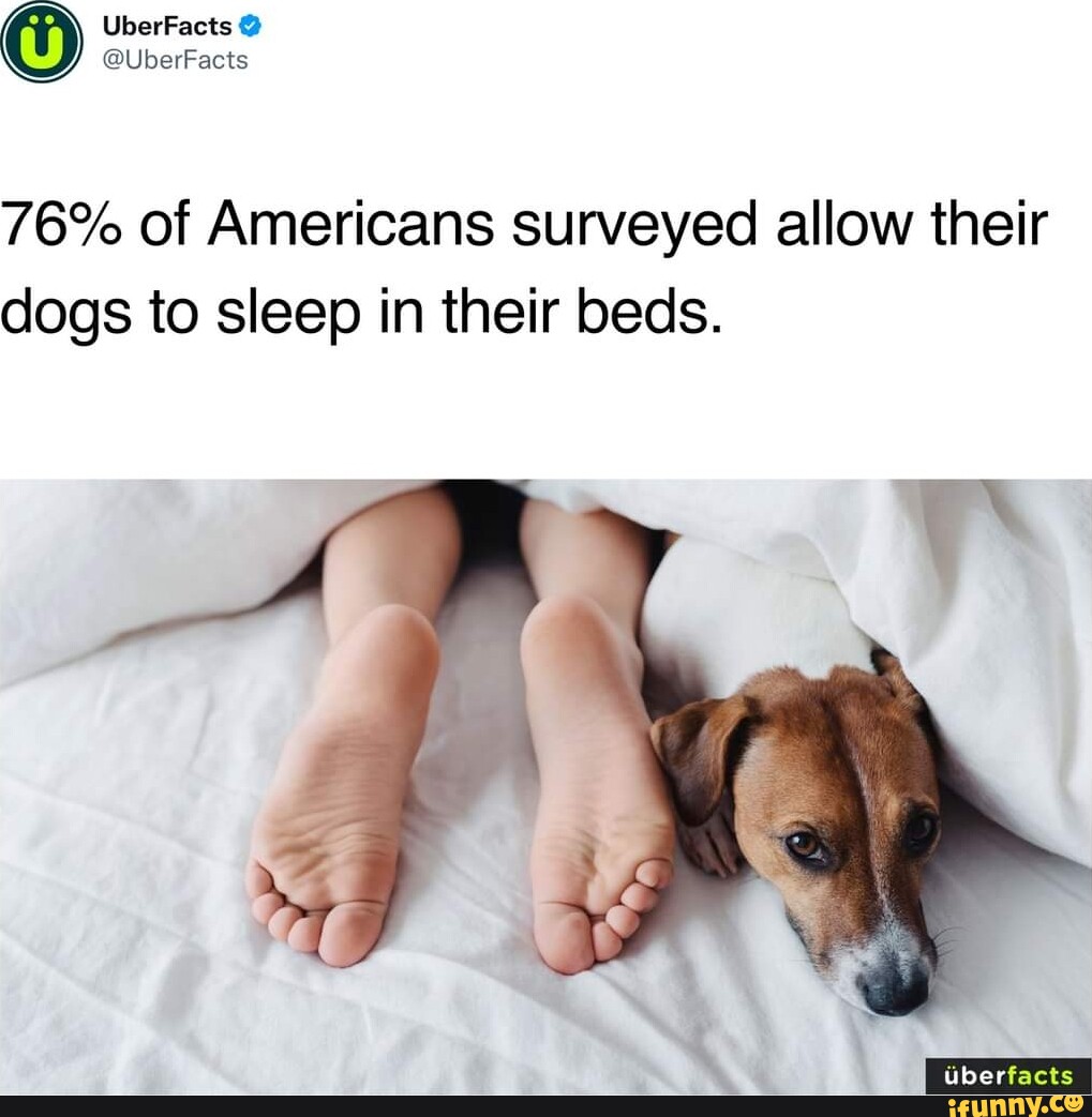 UberFacts @UberFacts 76% of Americans surveyed allow their dogs to ...