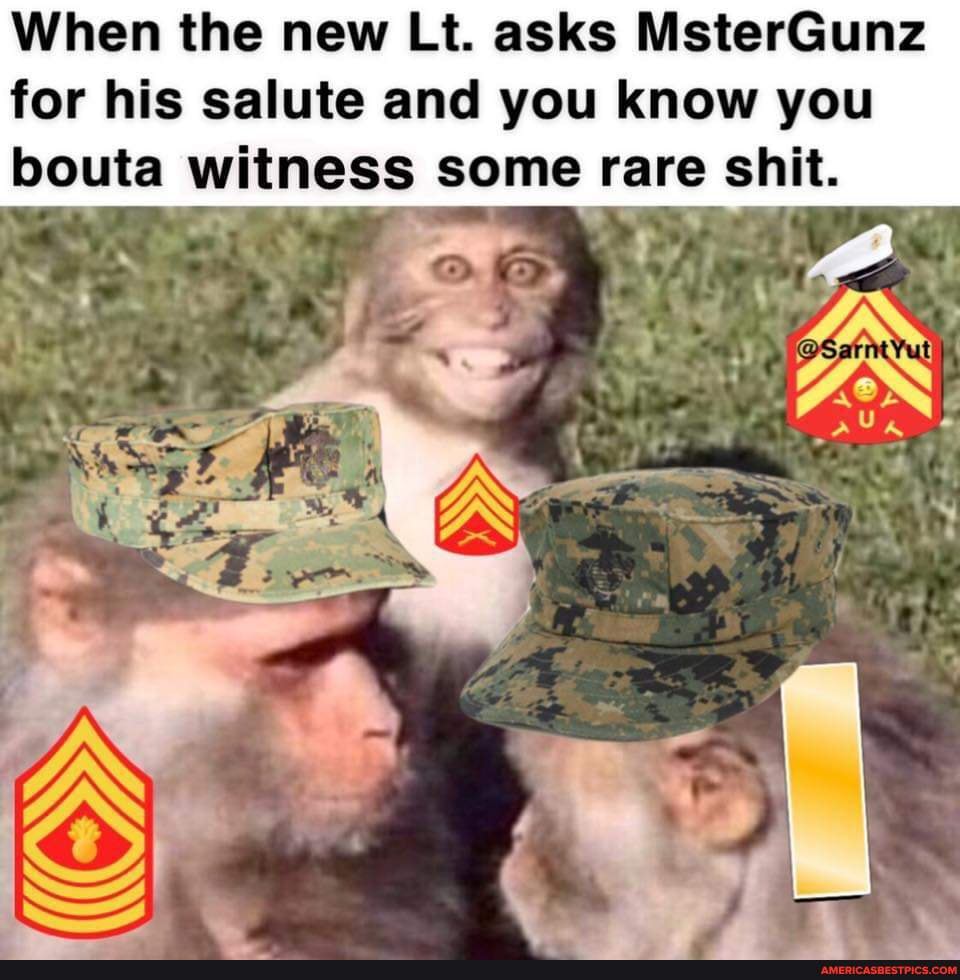 “Climb my rank and look for it.” If you know you know🥴🤷🏽‍♂️ - When the ...