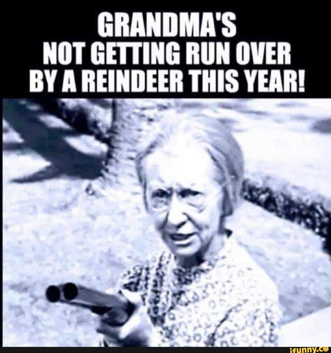 GRANDMA'S NOT GETTING RUN OVER BY A REINDEER THIS YEAR! wa - iFunny