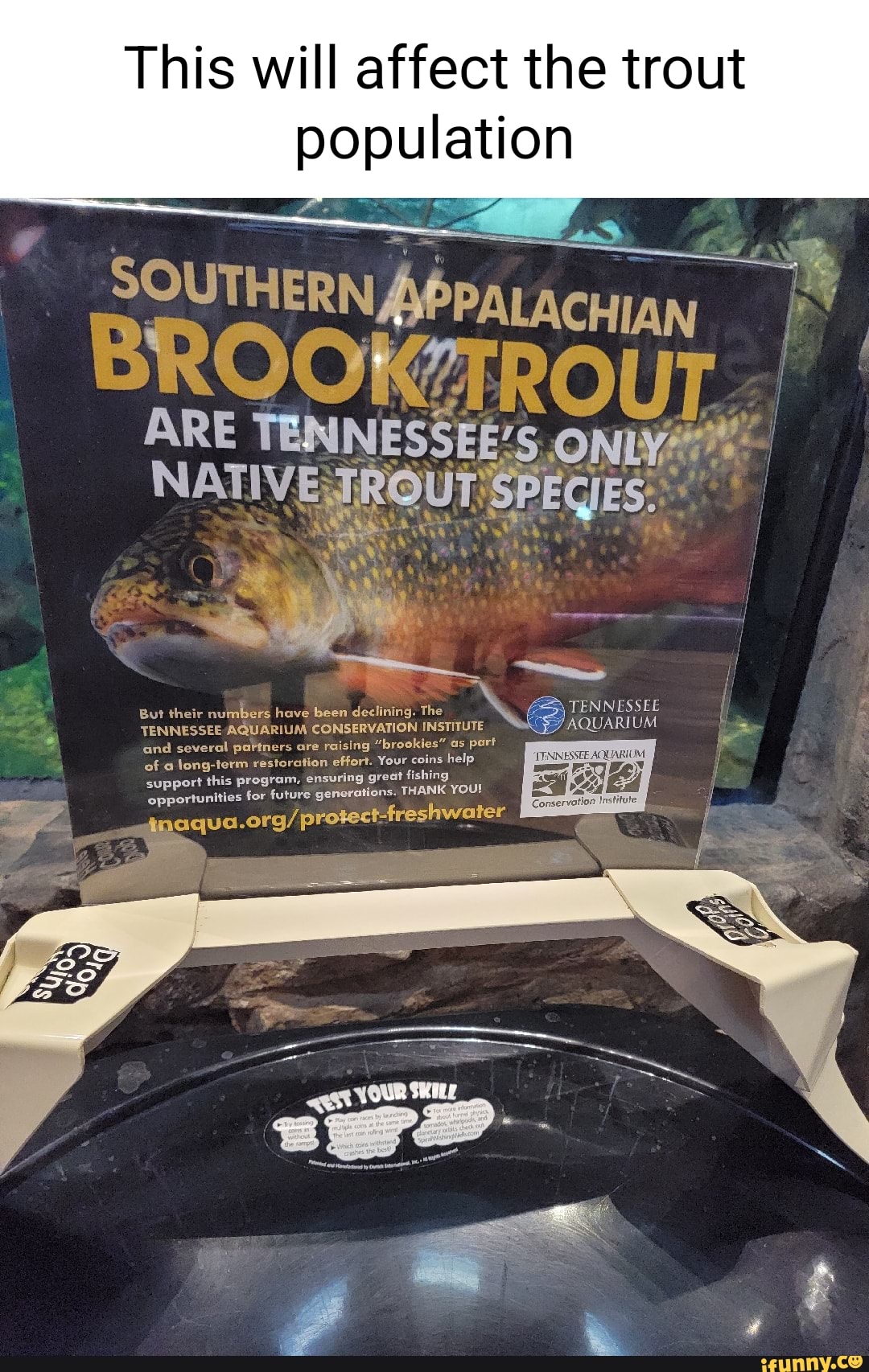 Trout memes. Best Collection of funny Trout pictures on iFunny